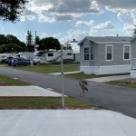 RV Parks in River Ranch, Florida - Top 20 Campgrounds near River Ranch ...